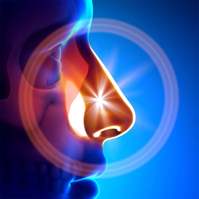 Nasal & Sinus – Christopher Shaari, MD