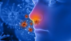 Ear Nose and Throat Specialist in Hackensack NJ