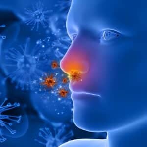 Christopher Shaari, MD – Ear, Nose & Throat Doctor